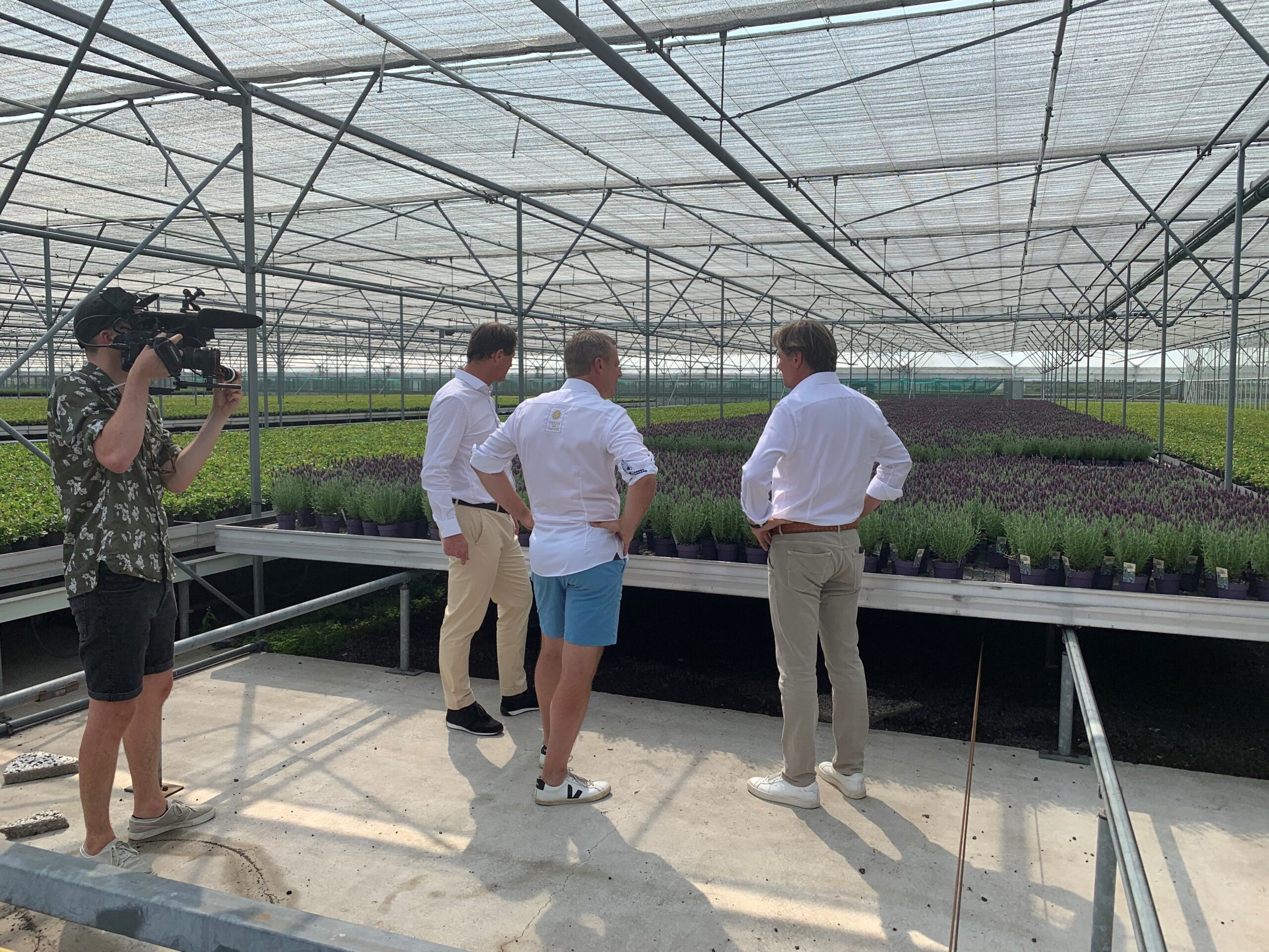 Strong Together - visiting our plant growers - Dutch Flower Group