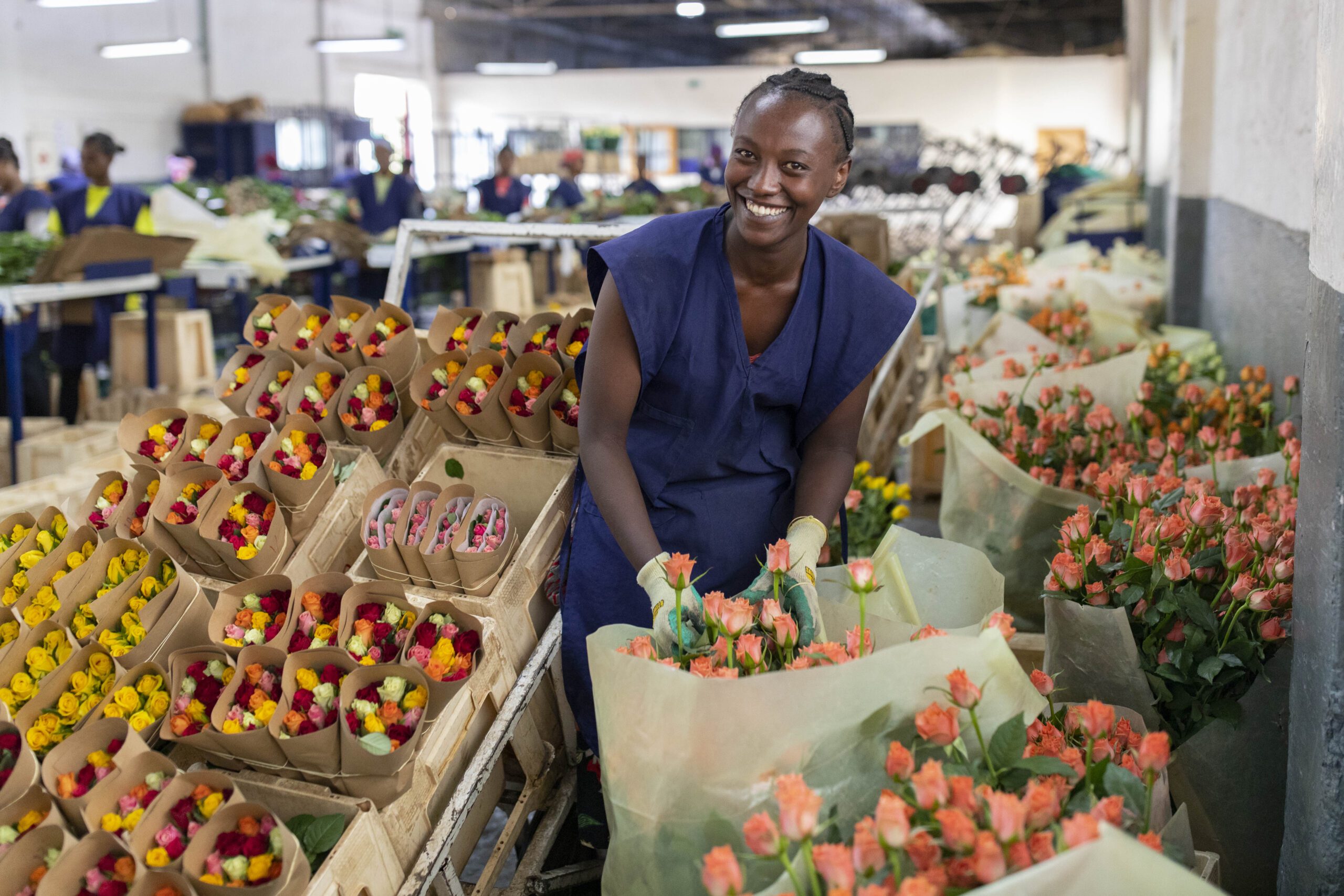 Dutch Flower Group supports Fairtrade flowers and workers - Dutch ...