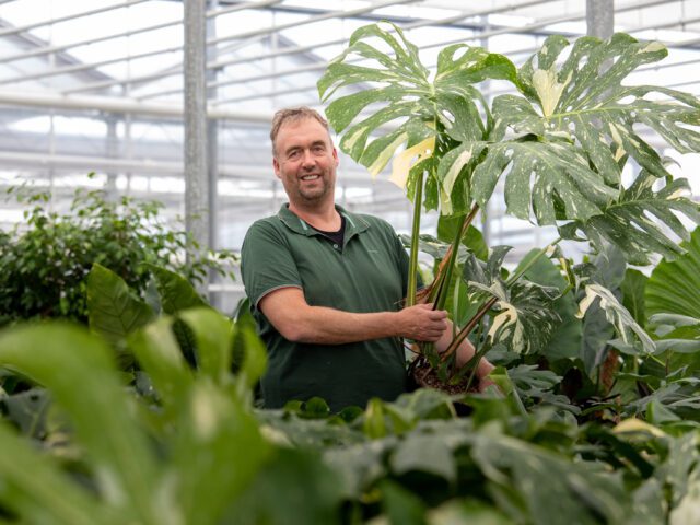 About DFG - Dutch Flower Group