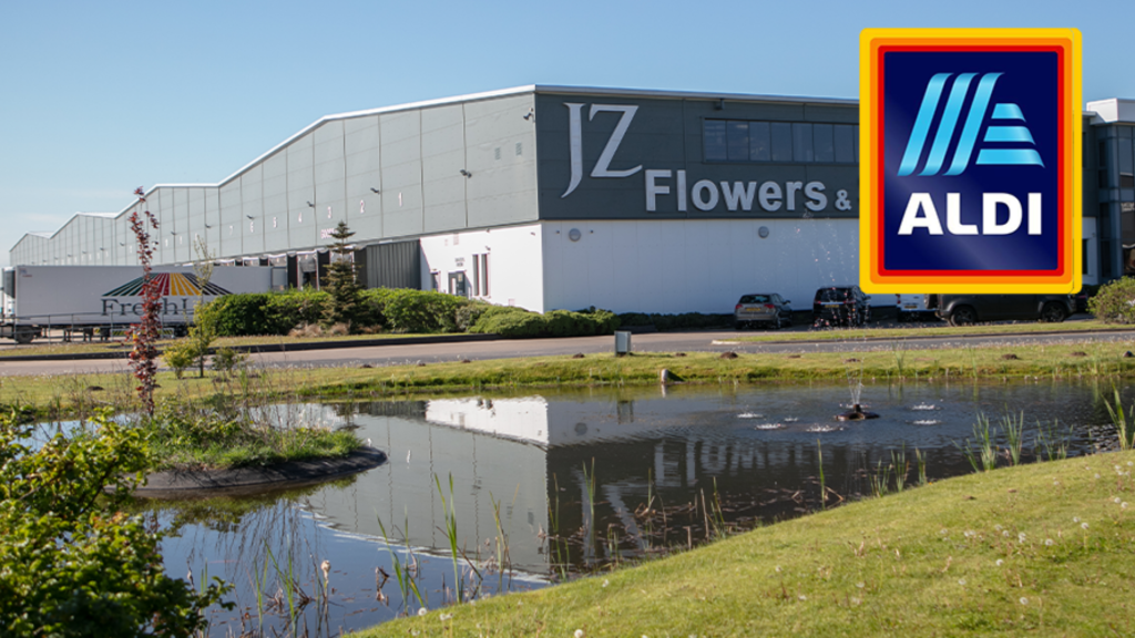 ALDI and JZ Flowers Partner Up For 4 More Years - Dutch Flower Group