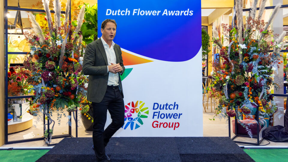 Zwettulips, Plant World en Marginpar trotse winnaars Dutch Flower ...